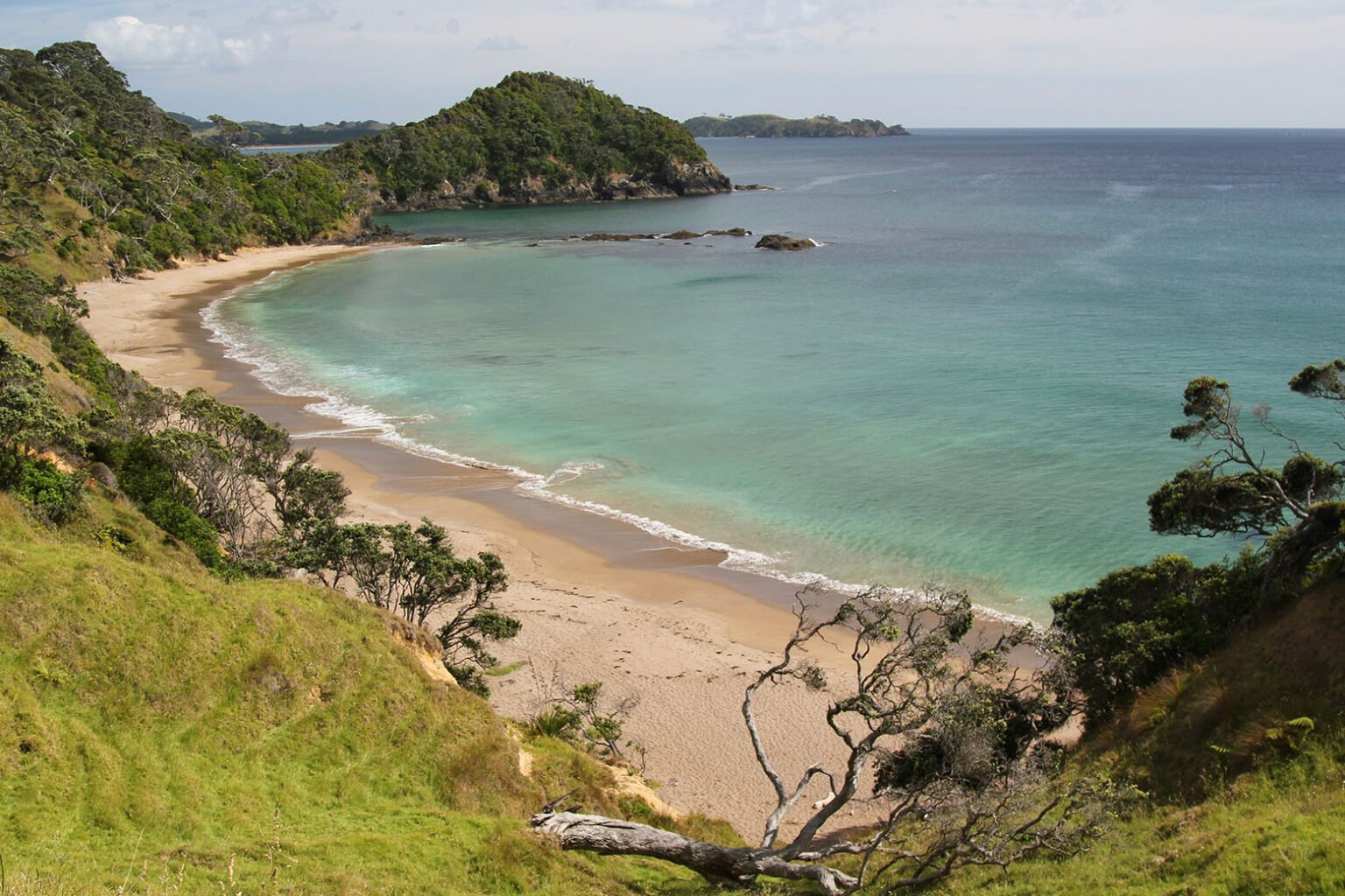 Northland New Zealand Visitor Information